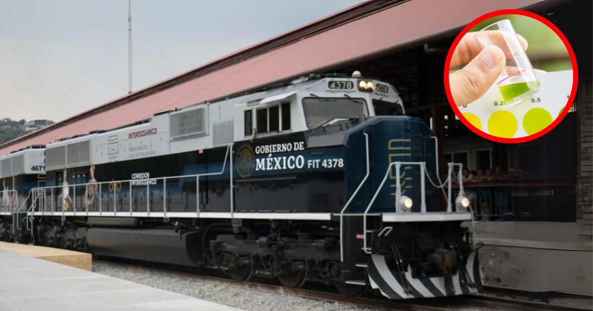 El presidente de México, Andrés Manuel López Obrador, ha anunciado que ...