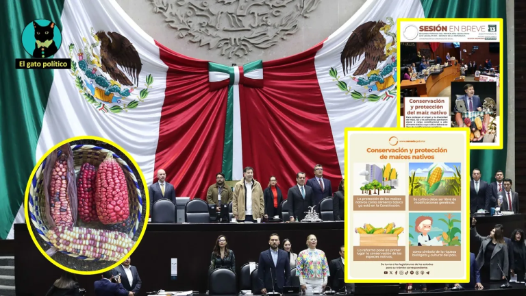 ¡Hasta siempre, Presidente! El legado y los 50 logros más destacados ...